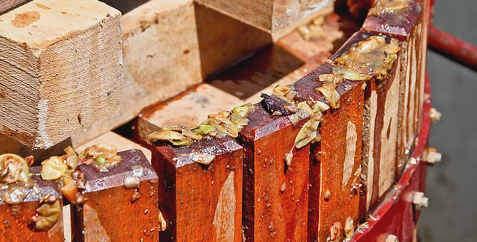 Wines made from free-run juice